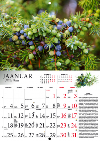Pildikalendrid | Kalenderland.ee